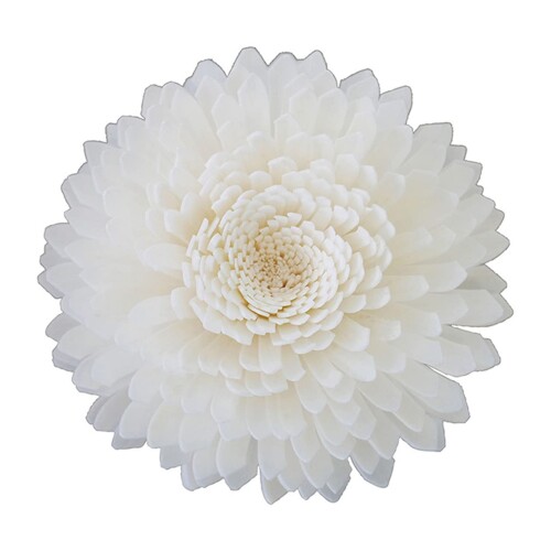 東京堂 ドライフラワー　 ソラ　アナスタシア　L 約花径9cm 1袋3輪入 YF138042-zzz 約花径9cm ■ドライ加工アイテム ■優しい色味や温もりを感じる質感はインテリアにぴったり ■自然素材を使用しているため、ご利用される環境...