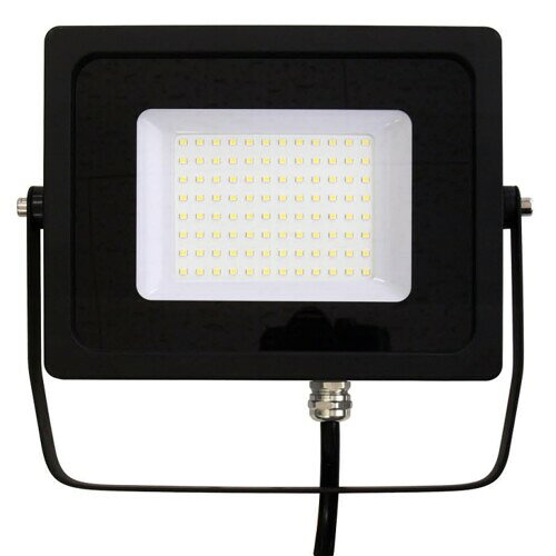 富士倉 薄型投光器50W AS-50N 投光器 照明 防水 ブラック アルミ製ボディ 放熱性 長寿命 屋外 屋内 防塵 防水等級 IP65 コンパクト 持ち運び 便利 明るさ 5000lm 色温度 6000K SMD 20個 工事現場 運動...
