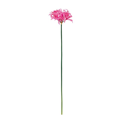 東京堂(Tokyodo) 造花 インプレスネリネ #052ホットピンク 花房径13×L62cm 1入 FM302514-052 サイズ : 本体 : 長さ62cm・花房 : 直径13cm・重量 : 20g カラー : #052 ホットピンク...