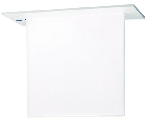 パナソニック(Panasonic) LED誘導灯 FA40366CLE1 天井埋込型 B級・BH形(20A形) 幅118mm×長270mm×高213mm 寸法:幅:118mm、長さ:270mm、高さ:213mm、埋込穴幅:100mm、埋込穴...