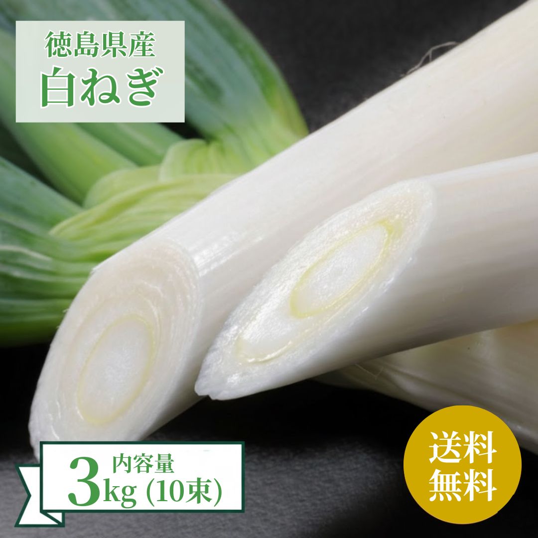商品情報商品名徳島県産 白ネギ 10束セット原産地徳島県内容量約3kg（10束入り）※生もののため多少前後します賞味期限生鮮食品のため、到着後はお早めにお召し上がりください保存方法新聞紙等に包んで冷蔵庫の野菜室で立てて保存してください。使い...