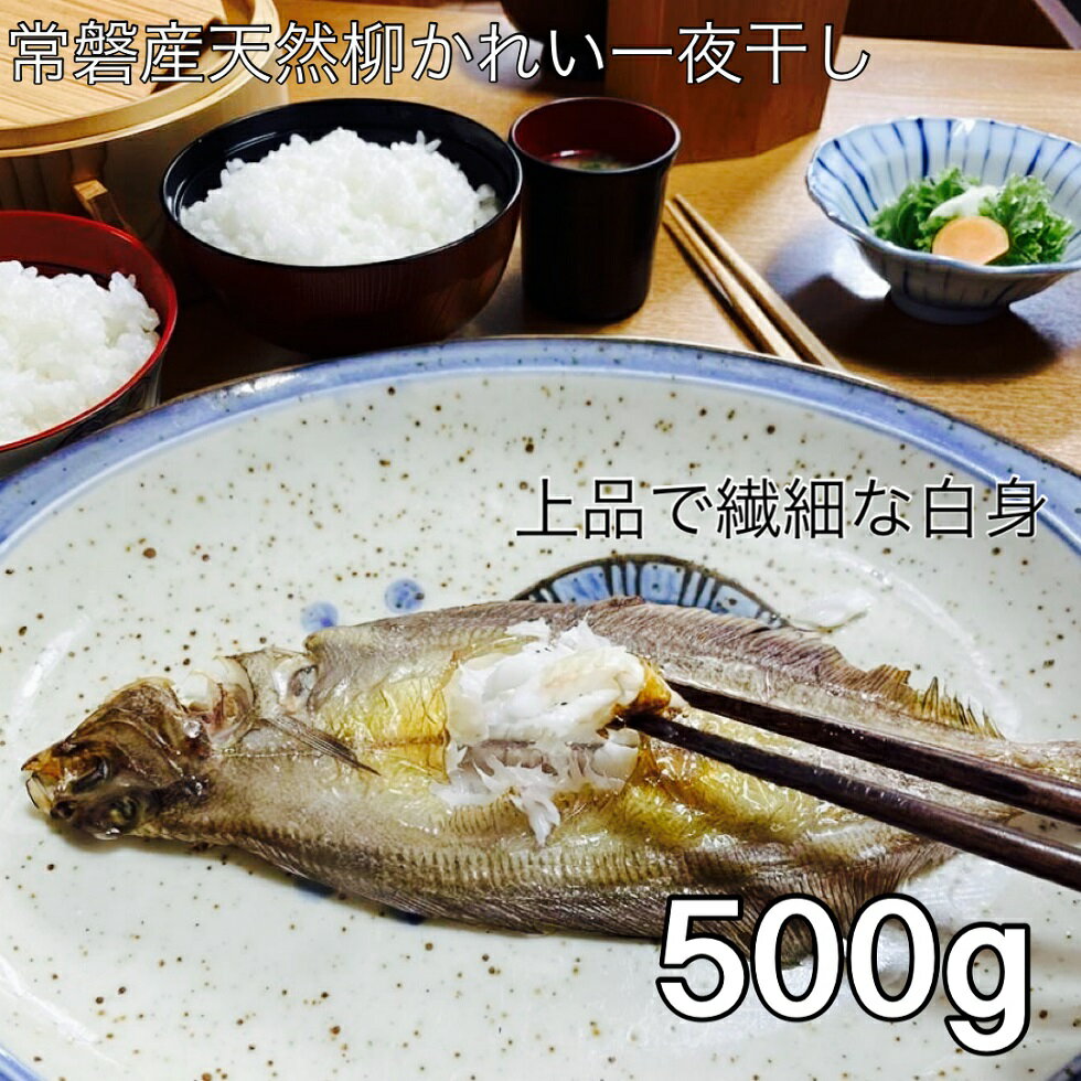 商品情報 名称 やなぎかれい内容 やなぎかれい、塩内容量 500g(10尾前後）賞味期限 7日保存方法 冷蔵販売者 株式会社　馬目商店MK東京都八王子市千人町4−10−16−206送料無料 常磐産 小さめ天然ヤナギカレイ 一夜干し 500g...