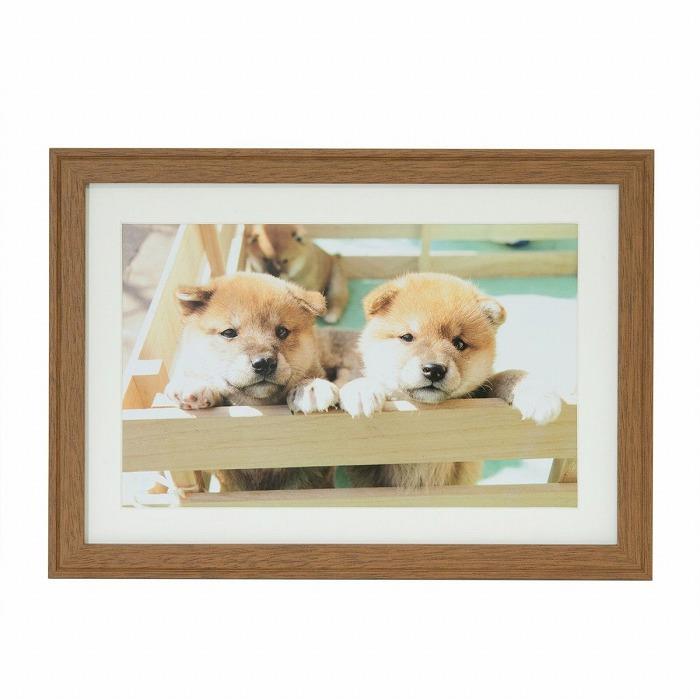 種別：額縁 NOTE落ち着いた雰囲気の木製フレーム前面板に透明PETを用いた軽量タイプの木製額です。【主な仕様】素材：木製台紙：Vカット台紙（1.3mm）前面板：透明PET板（0.5mm）サイズ：ワイド6切額縁外寸：W375×H272mm額...