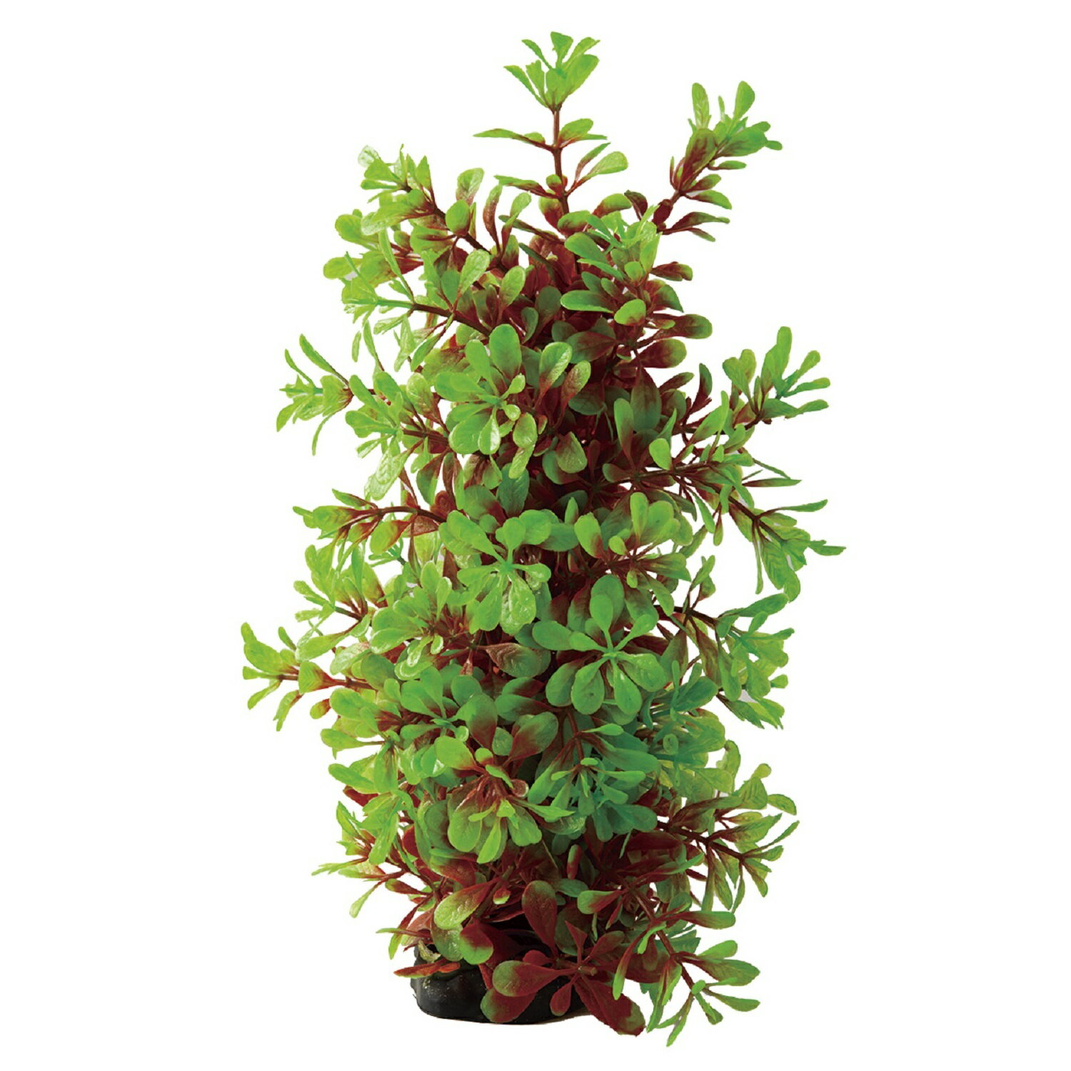 [商品サイズ(mm)]150×150×230[単品重量(g)]117 [原材料]プラスチック、レジン[商品説明]好きな形に折り曲げられる人工水草。土台付きで簡単にセット可能。[使用方法・給与方法]1:ご使用の前に、流水で軽く水洗いしてくださ...