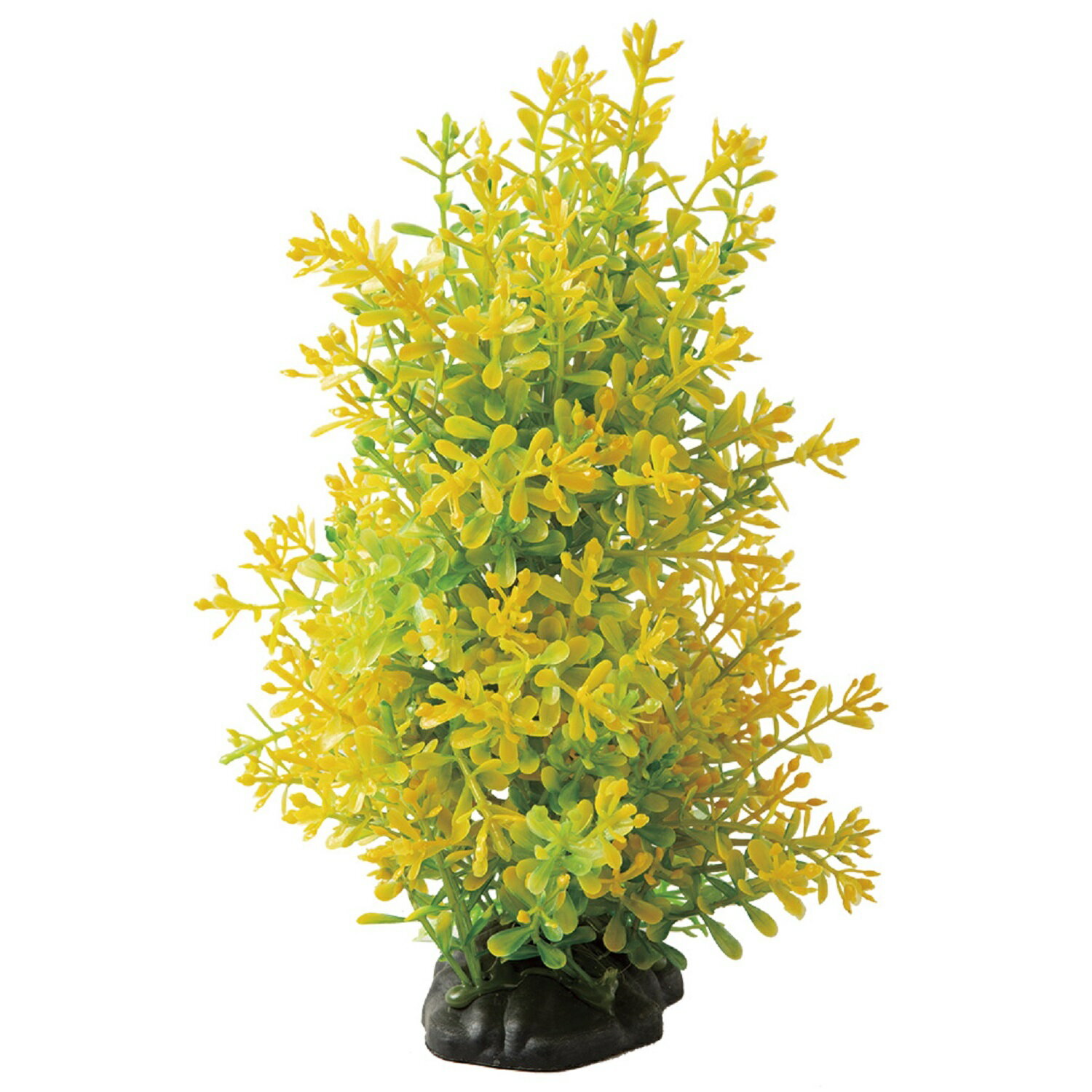 [商品サイズ(mm)]150×150×230[単品重量(g)]110 [原材料]プラスチック、レジン[商品説明]好きな形に折り曲げられる人工水草。土台付きで簡単にセット可能。[使用方法・給与方法]1:ご使用の前に、流水で軽く水洗いしてくださ...