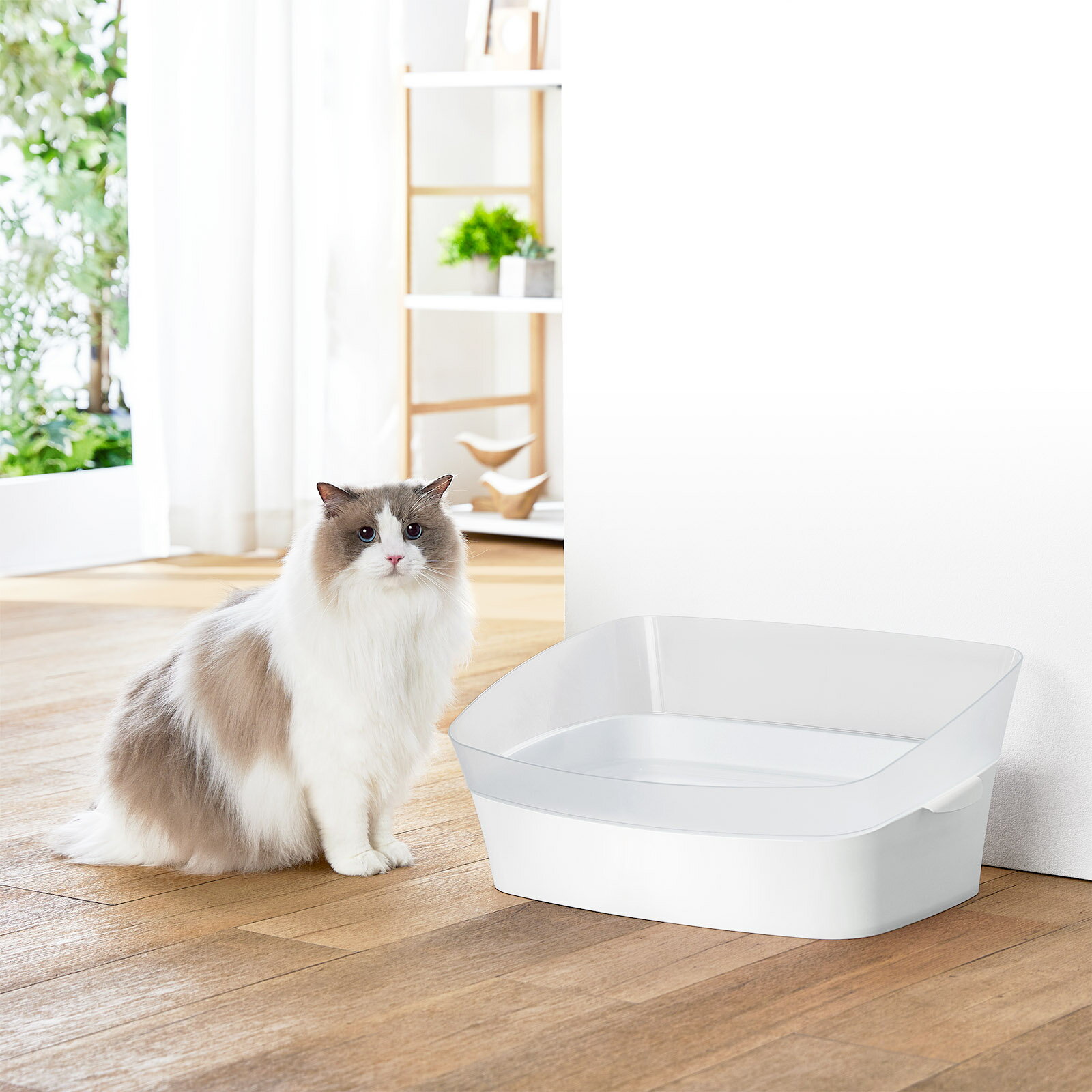 [商品サイズ(mm)]501×384×235[単品重量(g)]1000 [原材料]PP[商品説明]独自の二重構造で猫砂をダブルブロック、飛び散りをおさえてお手入れラクラク[使用方法・給与方法]●商品付属の説明書をお読みいただき、中に猫砂を入...