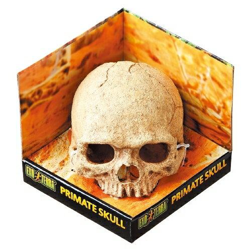 [商品サイズ(mm)]155×160×143[単品重量(g)]410 [原材料]ポリレジン[商品説明]テラリウムのアクセントになる、爬虫類・両生類用アクセサリーです。軽く水洗いしてからご使用ください。[使用方法・給与方法]●軽く水洗いしてか...