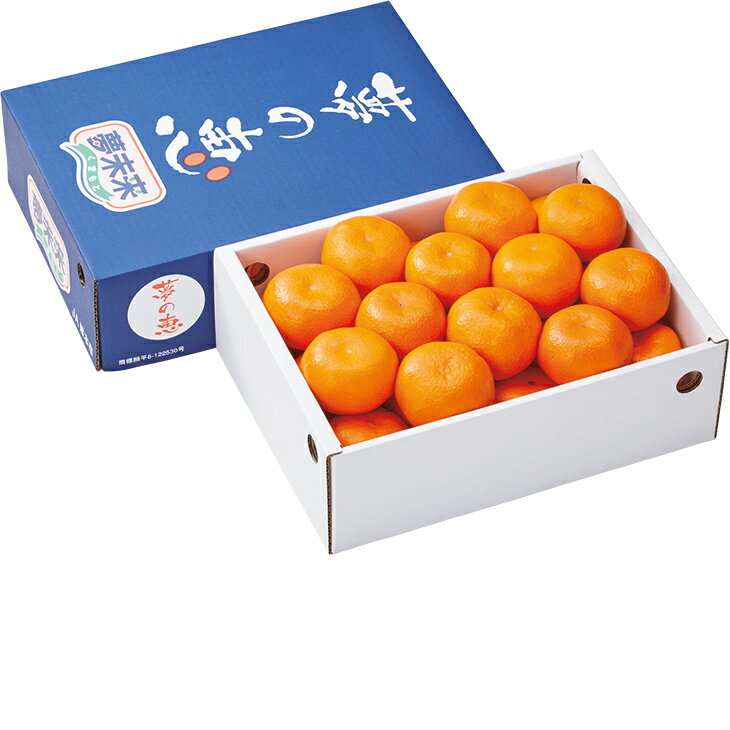 商品内容Mサイズ25玉またはSサイズ32玉（2．5kg）各種アイコンアイコンの説明はこちら【カタログ掲載ページ】はこちら【夏ギフトについてのご案内】はこちらその他特記事項　 ※こちらの商品は無包装のみの商品になります。先様に直接お届けする前...