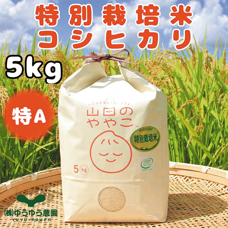 商品内容特別栽培米 茨城県産山田のややこ コシヒカリ5kg各種アイコンアイコンの説明はこちら【カタログ掲載ページ】はこちら【夏ギフトについてのご案内】はこちらその他特記事項　 ※こちらの商品は簡易包装のみの商品になります。先様に直接お届けす...