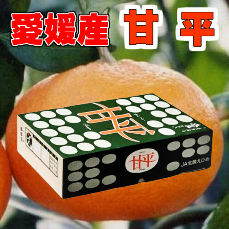 商品説明1名称甘平(かんぺい) 産地名国産（愛媛県産）内容量約3kg(Lサイズ15玉)赤秀品送料送料無料です。 ※誠に申し訳ございませんが、【北海道・沖縄県は別途送料】となります。 ご了承の程、よろしくお願い申し上げます。 ﾠ...