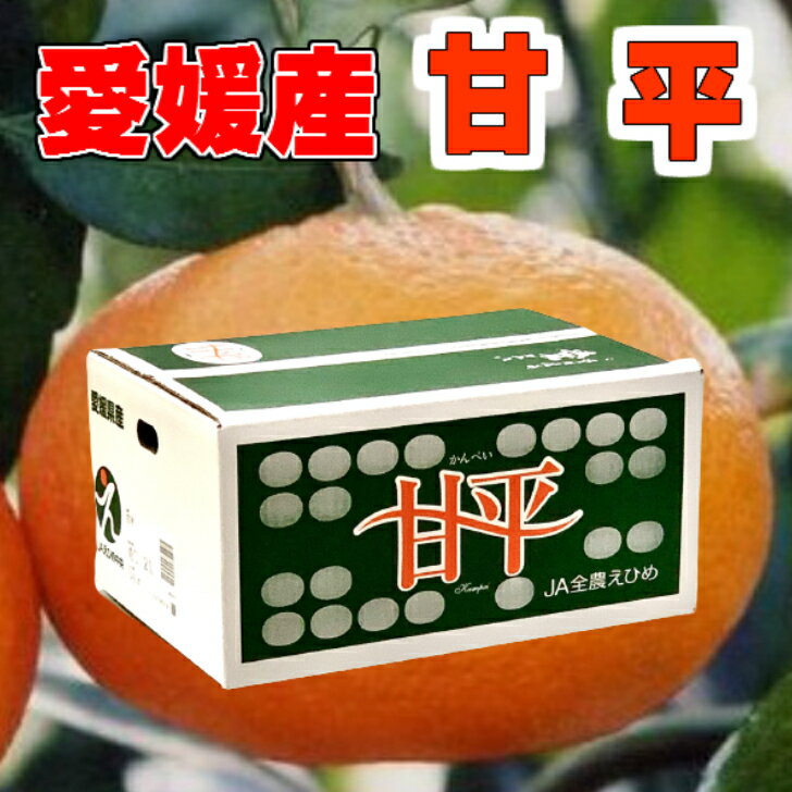 商品説明1名称甘平(かんぺい) 産地名国産（愛媛県産）内容量約5kg(サイズ混合16〜25玉)送料送料無料です。 ※誠に申し訳ございませんが、【北海道・沖縄県は別途送料】となります。 ご了承の程、よろしくお願い申し上げます。 ﾠ...