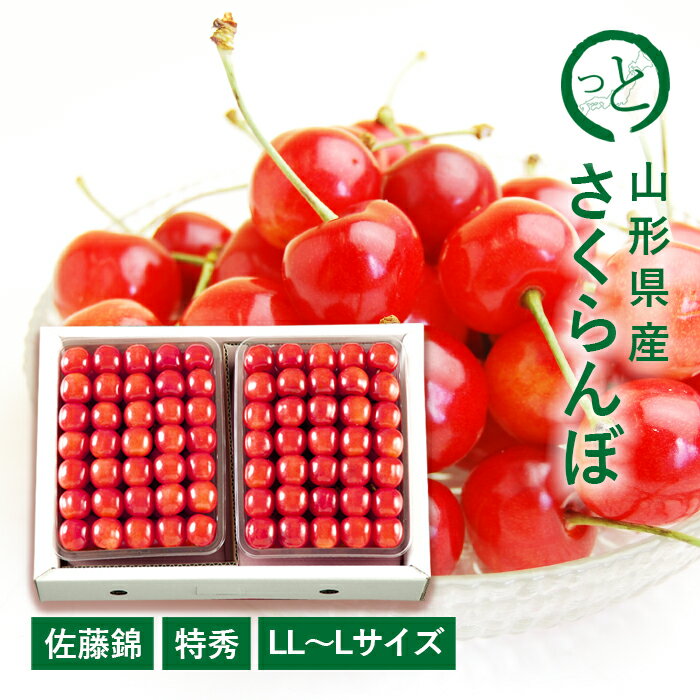 名称 さくらんぼ（品種：佐藤錦） 内容量 特秀LL～L 手詰 [S3] 約1kg（約500g×2パック) 産地 山形県 保存方法 冷蔵庫に保存し、お早目にお召し上がりください。 ※さくらんぼは非常にデリケートな果物です。商品をお受け取りにな...