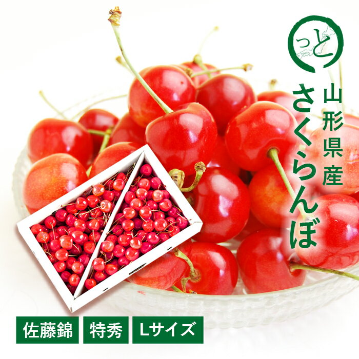 名称 さくらんぼ（品種：佐藤錦） 内容量 特秀 L バラ詰 [S1] 約1kg 産地 山形県 保存方法 冷蔵庫に保存し、お早目にお召し上がりください。 ※さくらんぼは非常にデリケートな果物です。商品をお受け取りになりましたらすぐに開封し、中...