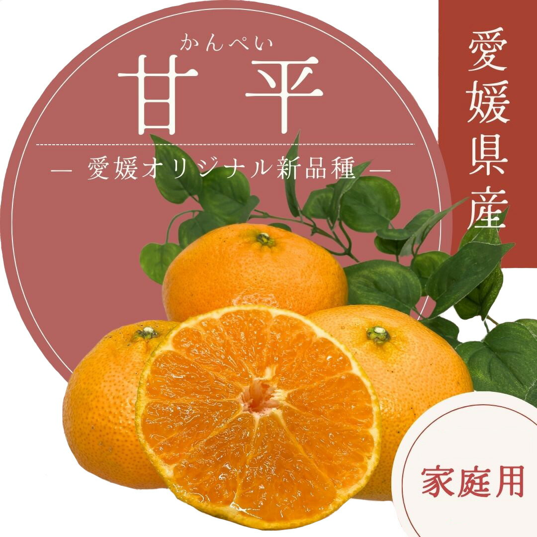 【傷みやすい商品のため、北海道からの注文は承っておりません】 シャキシャキとした果肉と、プチプチと弾ける食感から出てくる、驚くほど甘い果汁が特徴の愛媛オリジナル新品種の品種「甘平」。 甘平は、愛媛県の果樹試験場で「西之香」と「ポンカン」を掛...