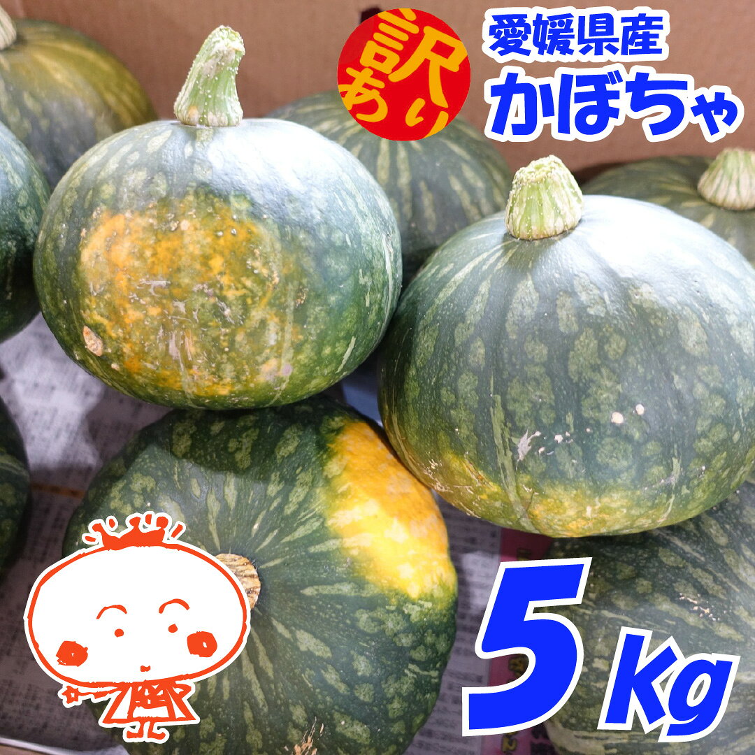 【傷みやすい商品のため、北海道からの注文は承っておりません】 ご覧いただきありがとうございます。 【愛媛県産】家庭用の訳ありカボチャ5kgです。 1箱に2玉から5玉入ってます。 煮物や炒め物、揚げ物はもちろん、ケーキやプリンなどのお菓子作り...