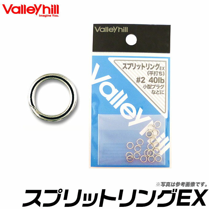 20150318-05メーカー名 バレーヒル　/　Valleyhill 商品名 スプリットリングEX 商品情報 あらゆるルアー、メタルジグなどに対応する豊富なサイズのラインナップ。高弾性・高復元力を有した強力バネ材を採用し、強度を確保しまし...
