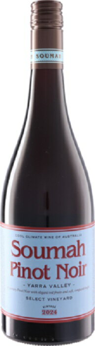 商品説明バランスの取れた柔らかな酒質と繊細なタンニンが特徴です商品情報色・タイプ:赤/辛口品種:ピノノワール産地:オーストラリア ヴィクトリア/ヤラ・ヴァレーこちらの商品はお取り寄せ商品になります。・発送まで2日〜5日お時間が掛かります。・...