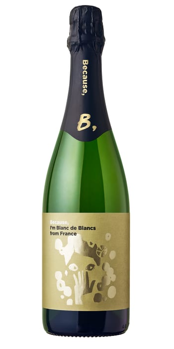 商品説明白ブドウのみから生まれたBlanc de Blancsと呼ばれる優美なスパークリングワインです。きめ細かい泡が白い花の香りと広がり、織り重なるハチミツやアーモンドのフレーバー。綺麗な酸がつくるフレッシュでドライな後味と、レモン、アプ...