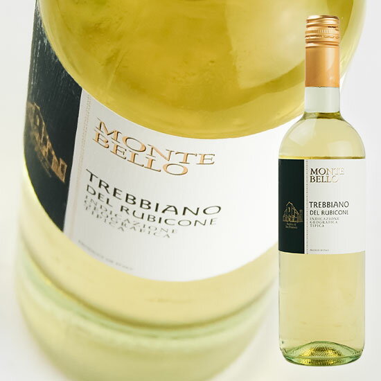 トレッビアーノ主体で造られた白ワインです。花やフルーツを思わせる繊細な香り。爽やかでフルーティな、バランスのとれた味わいです。ラベルのモニュメントはボローニャの「サン・ペトローニオ大聖堂」です。 色・タイプ 白／やや辛口 品種 トレッビアー...
