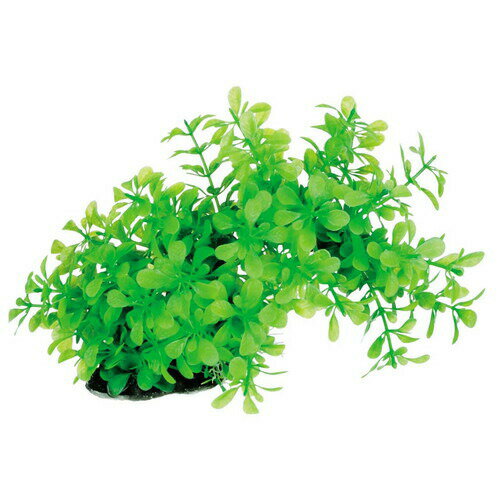 広告文責・販売事業者名：株式会社ビューティーサイエンスTEL 050-5536-7827・・・・・　商　品　詳　細　・・・・・ 商品名 テトラ フレキシブルプラント FP-2 内容量 1個 商品説明 好きな形に折り曲げられる人工水草・お好み...