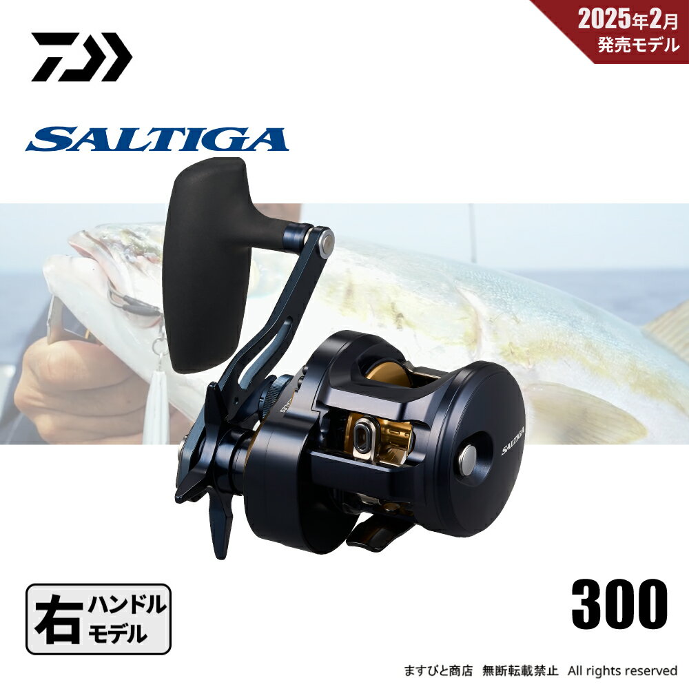 標準自重(g)：420 巻き取り長さ(cm/ハンドル1回転)：86 ギア比：6.3 標準巻糸量PE(号ーm)：1.5-500_2.0-400_3.0-250 ハンドルアーム長(mm)：75-85 ベアリング(ボール/ローラー)：11/1 最...