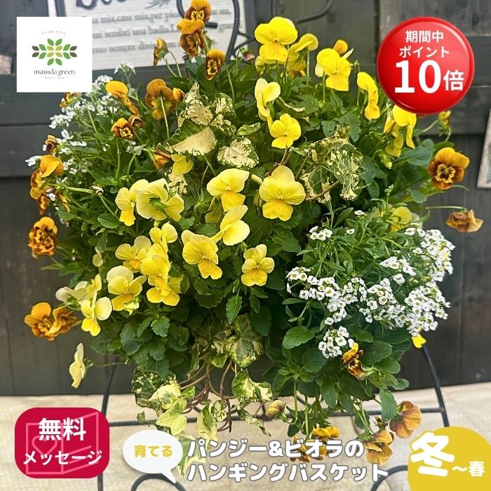 【重要】こちらはご予約商品につき、11月中旬より作成順に順次発送予定です。お届け日は指定できません。 【重要】ご注文をいただいてから作成し、根を落ち着かせてから発送させていただきますので、ご注文からお届けまで2週間ほどお時間をいただいており...