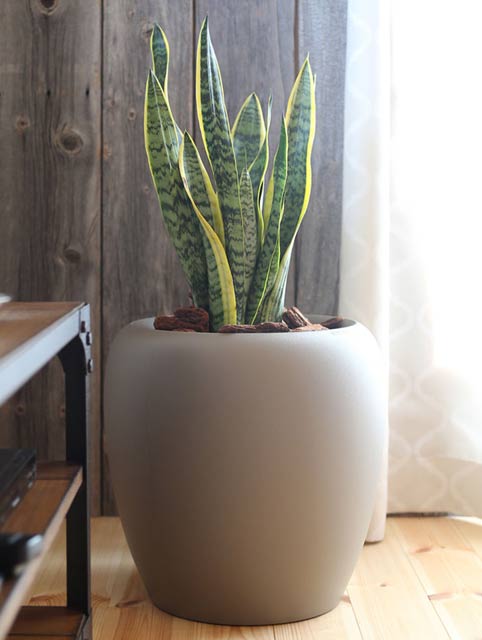 ※ 鉢底に穴は開いておりません。 穴あけ加工は無料で承りますので、 ご注文の際に水抜き穴の有無をご指定下さい。 　■スペインから直輸入の、イタリアデザイナー作品です。 　ご注文に際しての留意事項 　■表示価格は裸渡し価格ですので、運賃・設置...