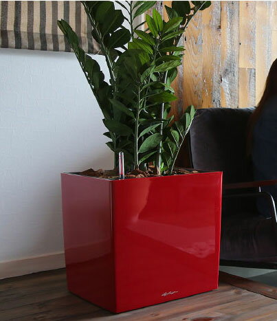 ※こちらの商品は内栓がありますので、 室内でも屋外でもご利用いただけます。 　■ドイツから直輸入の、プレミアムプランターです。 　ご注文に際しての留意事項 　■表示価格は裸渡し価格ですので、運賃・設置料 　　（設置を希望される場合の方のみ）...