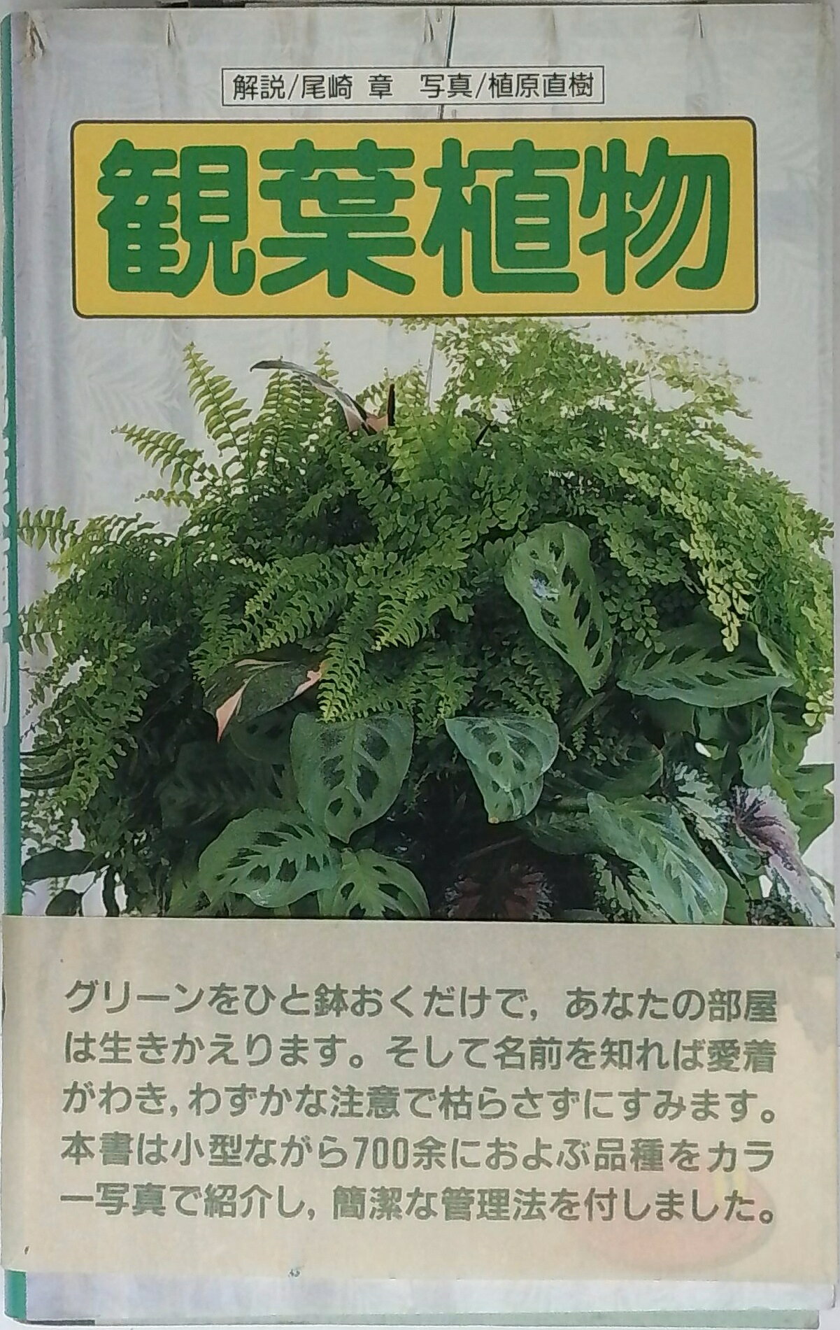　 状態ランク 良い 商品状態 カバー日焼け。小口シミ。 著者名 尾崎 章 出版社 山と溪谷社 発売日 1992 ISBN 9784635580144 【状態ランクについて】 非常に良い：あまり使用感なく綺麗な商品です。書き込み・目立つ傷み...