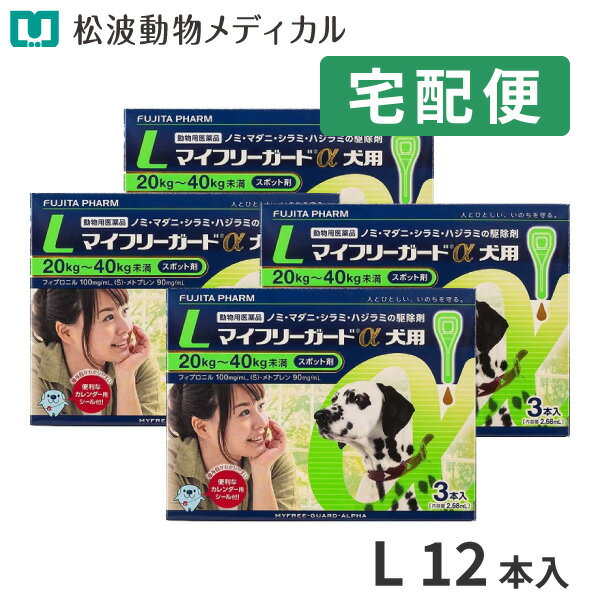 リニューアルに伴い、予告なくパッケージや内容等変更する場合がございます。予めご了承ください。※使用期限：2027/12/31目安（12月現在）※ご注文のタイミングにより、お届けする商品の期限が多少前後する場合がございます。※パッケージデザイ...