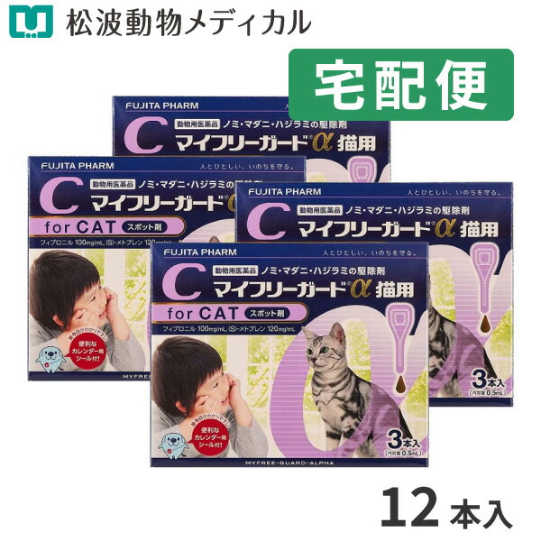リニューアルに伴い、予告なくパッケージや内容等変更する場合がございます。予めご了承ください。※使用期限：2028/09/30目安（12月現在）※ご注文のタイミングにより、お届けする商品の期限が多少前後する場合がございます。 JANコード：4...