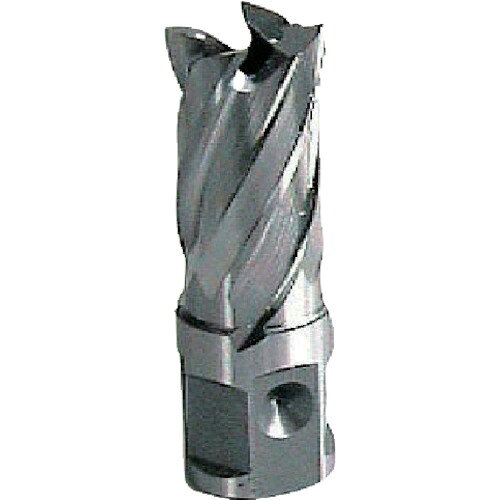 ●日東工器、育良精機の磁器ボール盤にも装着可。●35SQ、50SQクリンキーカッターの小径タイプです。●小径でも欠け難いハイスタイプです。●有効切削能力25mm。（φ16以下は16mm）●被削材：鋼板、形鋼板等。●刃径(mm)：12●最大加...