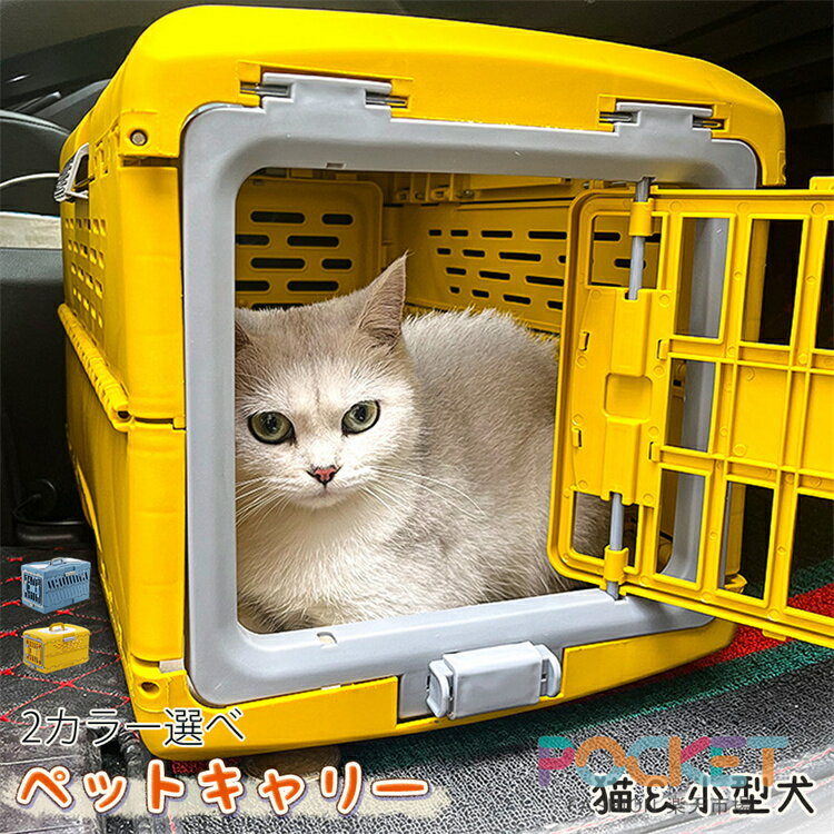 おすすめポイントさまざまなシーンで使えるから便利。ドライブボックスハウスキャリー として使用できるキャリーです。お出かけ、散歩、旅行、通院、出張、防災、引越、 乗車、外出時など持ち運びしやすく幅広く活躍します。【広い空間】ペットには窮屈さを...