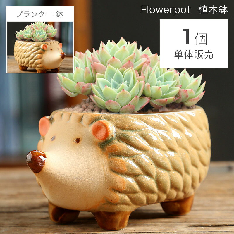 5商品情報注意事項モニターの発色の具合によって実際のものと色が異なる場合があります。製造時期によりデザインや仕様に若干の変更がある場合がございます。予めご了承ください。