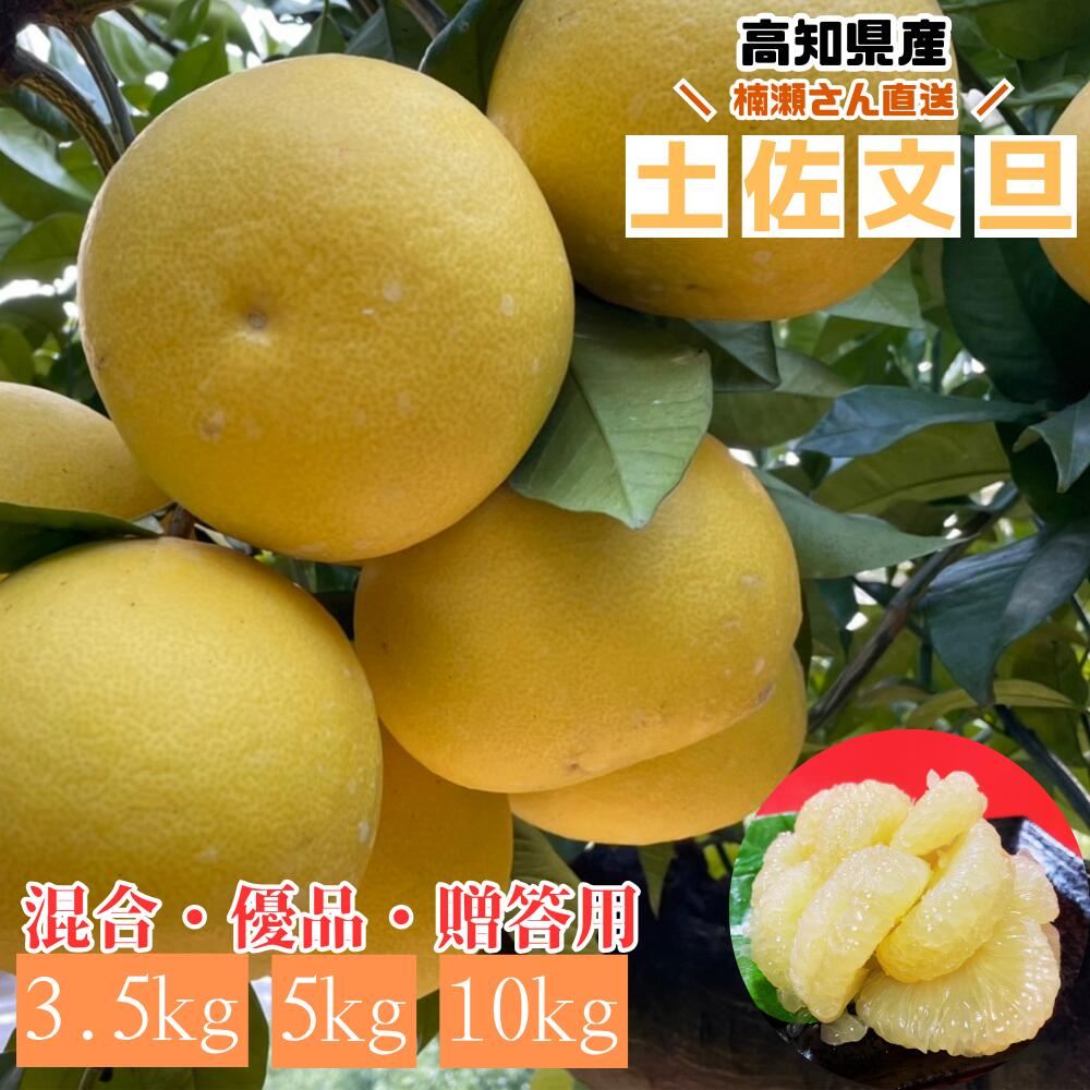 名称 高知県産楠瀬さん直送土佐文旦【3.5kg】【5kg】【10kg】 消費期限/賞味期限 到着後はお早めにお召し上がりください 保存方法 涼しい場所で保管してください 内容量 【混合3.5kg(サイズ3L～L・7玉～10玉) ムッキーちゃ...