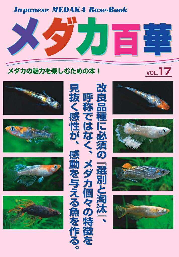 メダカ百華Vol.17　メダカ 猫飯 幹之 楊貴妃 初心者 綺麗な写真で最新品種や品種の説明がされています。郵便局のクリックポストにて発送いたします。 7