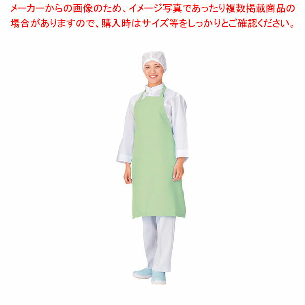 商品の仕様●メーカー品番：E3500-2T●カラー：ソフトグリーン●幅×前丈(mm)：690×830●質量(g)：94■材質：ポリエステル100%ツイル(綾織物)●Agの働きにより、繊維上に付着した特定のウイルス を2時間で99.9%不活性...