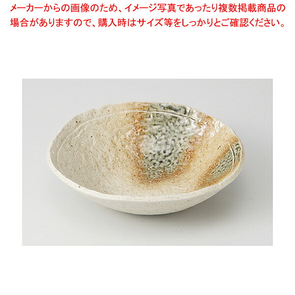 商品の仕様●長径(cm):16.7●高さ(cm):4.4※商品画像はイメージです。複数掲載写真も、商品は単品販売です。予めご了承下さい。※商品の外観写真は、製造時期により、実物とは細部が異なる場合がございます。予めご了承下さい。※色違い、寸...