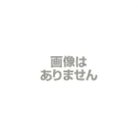 【特長】 ・省スペースの1ガンタイプで、塗料使用量が1日20L前後のお客様に最適です。 ・ペイントタンクで色替えの多い方や吊り下げ重力式タンクの代替にお勧めします。