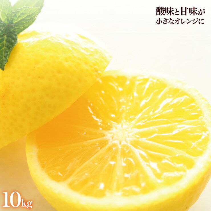 &nbsp; 内容量 10kg 賞味期限 生ものですので、お早目にお召し上がりください。 保存方法 冷暗所で保存して下さい 原材料 黄金柑（おうごんかん） 産地 紀州和歌山産 商品説明 ジューシーで甘く、爽やかな酸味 品質管理 当店では品質...