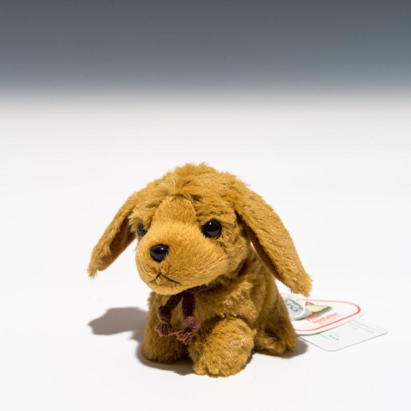 たけのこ キャンディフォンテーヌ ミニダックス 茶 ぬいぐるみ 48226サイズ：約9cm材質 : ポリエステル