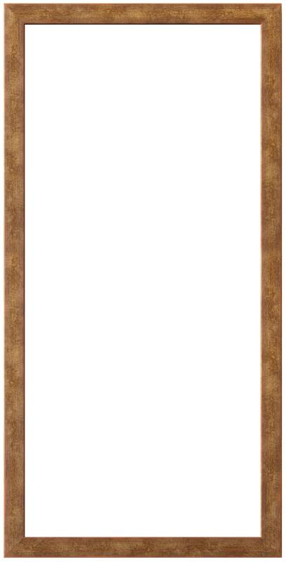 ラーソン・ジュール 額縁 アンドーバー 20x40(内寸200x400mm) ゴールド品番:LJC-7075909商品モデル番号:LJC-7075909製品サイズ:45.5 x 25.9 x 3.6cm; 650g
