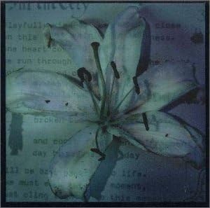 中古につき手入れ作業（研磨＆特殊ケースは除き中古ケースから新品ケースへの交換）を行っております。経年劣化により稀に視聴不可となってしまっている場合がございますので、不良の場合はお問い合わせまでご連絡下さい。・注意事項：モニターの発色によって...