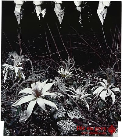 中古につき手入れ作業（研磨＆特殊ケースは除き中古ケースから新品ケースへの交換）を行っております。経年劣化により稀に視聴不可となってしまっている場合がございますので、不良の場合はお問い合わせまでご連絡下さい。・注意事項：モニターの発色によって...