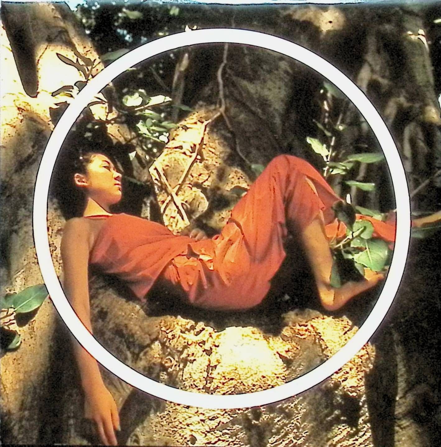 商品名【中古】Mother Father Brother Sister / MISIA（帯無し）種別CD帯についてケースの外側に付属しているキャッチコピーが書かれている用紙のことです。状態正常動作確認済みその他一部商品は特殊ケースは除き中古...