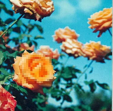 商品名【中古】Relation / globe （帯あり）種別CD帯についてケースの外側に付属しているキャッチコピーが書かれている用紙のことです。状態正常動作確認済みその他一部商品は特殊ケースは除き中古ケースから新品ケースへの交換を行ってお...