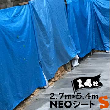 ★土木、建設、建築などの天井面、壁面、床面の養生用途や産業用、農業用、雨除けなどの野積カバーや屋根補修用カバー、レジャー用と幅広く使用されている中期使用型のシート。 ★強度劣化の原因となる継ぎ目のない耐久性の高い輸入#3000の一般タイプ。...