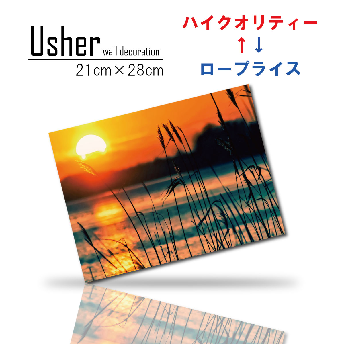 ※必ずご確認下さい。商品種類ファブリックパネル商品サイズ21cm × 28cm付属品・取り付け紐・取り付け金物（取り付け済み）・簡易説明書注意事項本商品は受注製作商品です。製作後のキャンセル、返品はお受けできませんのでご了承下さい。注文をキ...