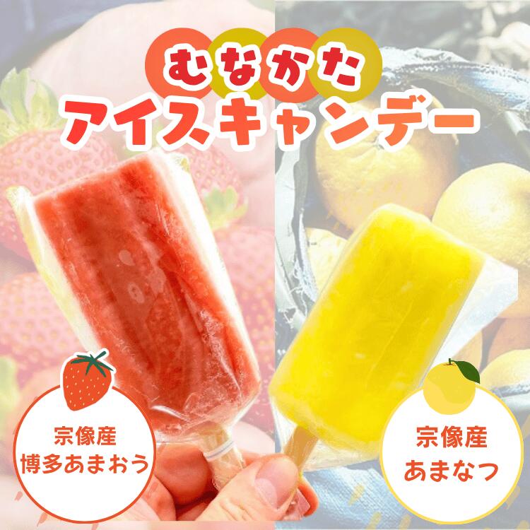 ■商品内容 ムナカタアイスキャンデーアソート10本〜 ・宗像産博多あまおう使用 博多あまおうアイスキャンデー×5本〜 ・宗像市大島産甘夏使用 宗像甘夏アイスキャンデー×5本〜 ■配送方法：冷凍（クール便） 関連商品【6月10日 限定クーポン...