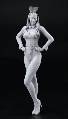 ■商品説明トップスカルプター 辻村聡志 氏によるハイクオリティーなリアル造形フィギュアをお手頃価格なレジンキットでお届け！第29弾はセクシーなバニーガールが登場♪■商品スペックメーカー：ハセガワ品番：SP555シリーズ：1:12スケール リ...